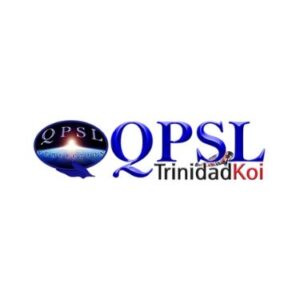 QPSL Ltd - TBBSE
